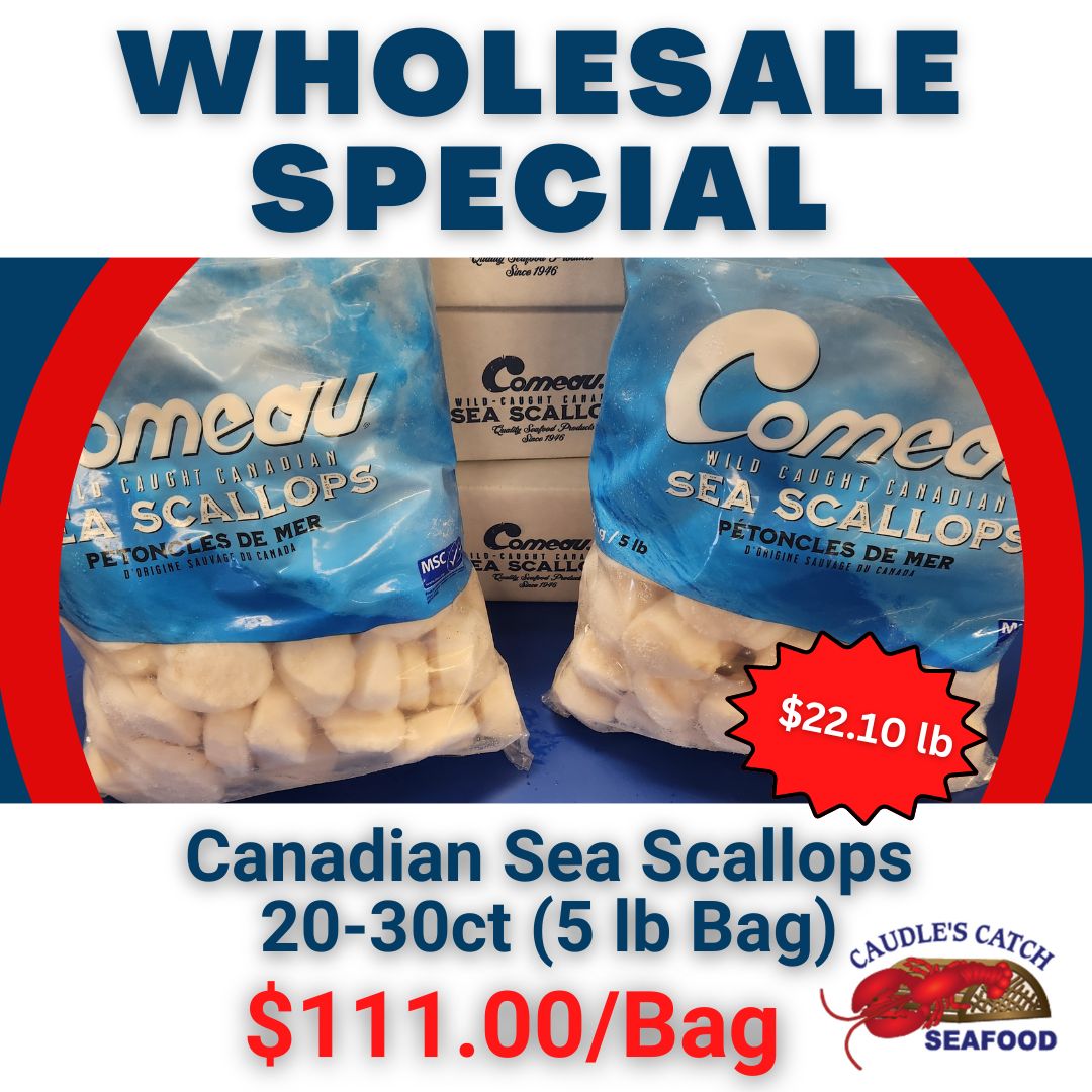 Wholesale Special: Fresh Raspberry Point Oysters (50ct bag) | Caudle's ...
