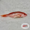 Fresh Whole B-Liner (Red Snapper) | Caudle's Catch Seafood