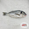 Fresh Whole European Sea Bream | Caudle's Catch Seafood